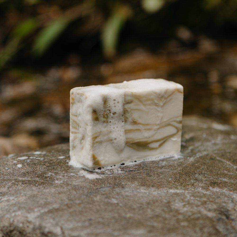 Aloe Soap | Nourishing Natural Soap